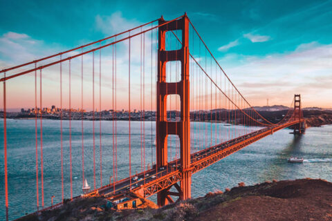 Georgia Real Estate Starts Here - FMLS